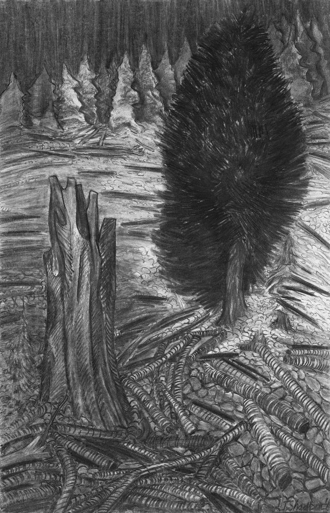 1990 | Jack Shadbolt – Gershon Iskowitz Foundation